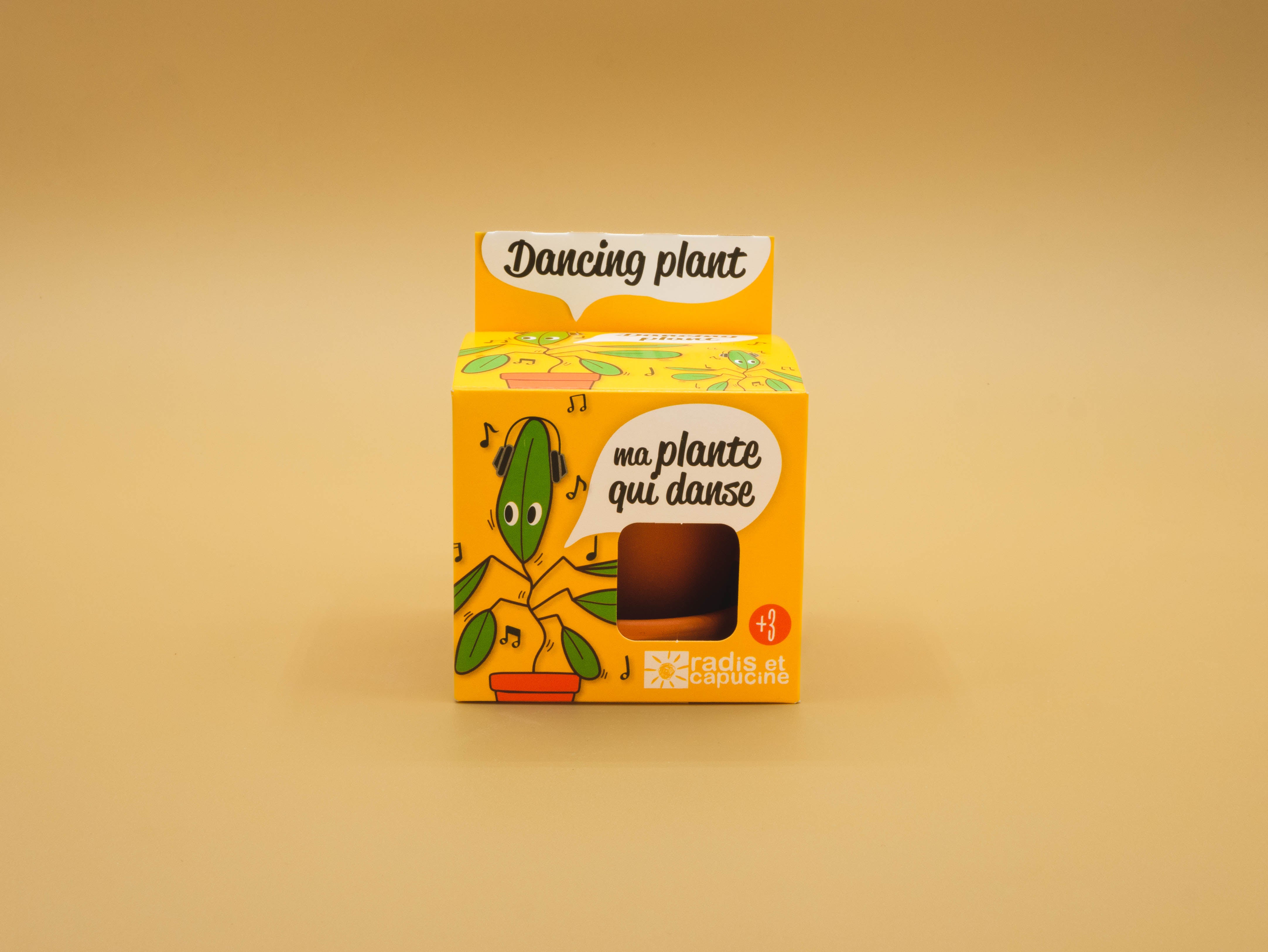 Dancing Plant to grow – KKINGER